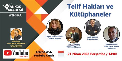 Ankos Elektronik Bilgiye Ekonomik Erişim Yolu