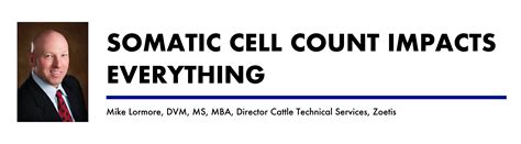 World Wide Sires Somatic Cell Count Impacts Everything