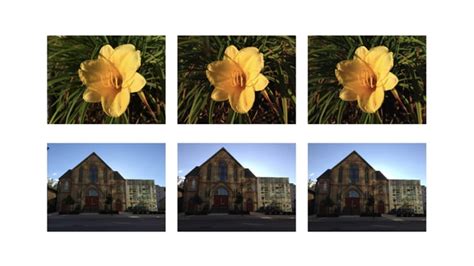 Camera Comparison Iphone Vs Iphone C Vs Iphone S Photos Iclarified