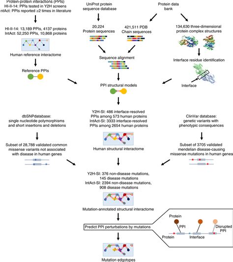 Pipeline For The Computational Prediction Of Mutation Edgotypes