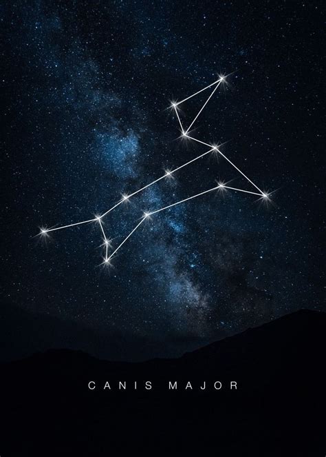 Canis Major Poster Picture Metal Print Paint By Xavier Vieira