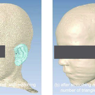 Reconstruction Of The Tissue Surfaces As Polygon Mesh Objects Download Scientific Diagram