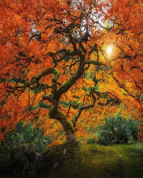 Photographer İlhan Eroğlu Captures Dreamlike Travel And Landscape