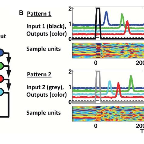 Population Clock Model Based On Recurrent Network Dynamics A Download Scientific Diagram
