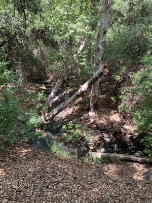 Sycamore Canyon Park Updated April 2026 799 Photos And 181 Reviews