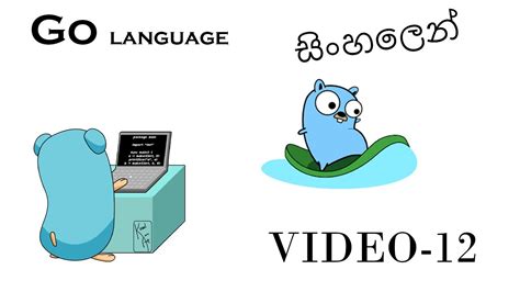 Go Programming Tutorial In Sinhala Part 12 Data Array Goprogramming