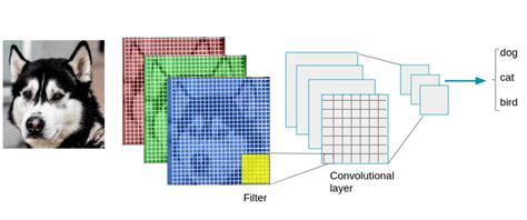 Simple Convolutional Neural Network For Classification Download