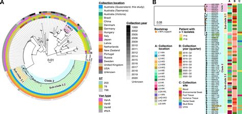 Using Genomics To Investigate An Outbreak Of Vancomycin Resistant
