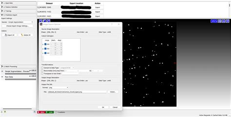 Trouble Exporting Pixel Classification Results In Ilastik Usage