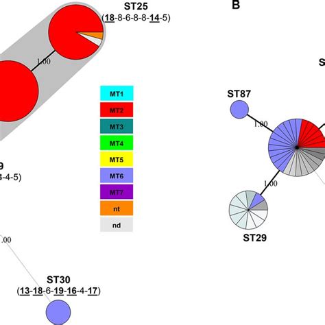 Minimum Spanning Tree Analysis Of 94 C Abortus Isolates Genotyped By