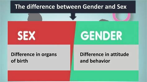 Gender And Sex Pdf