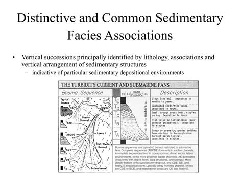 Ppt Depositional Environments And Sedimentary Facies Powerpoint