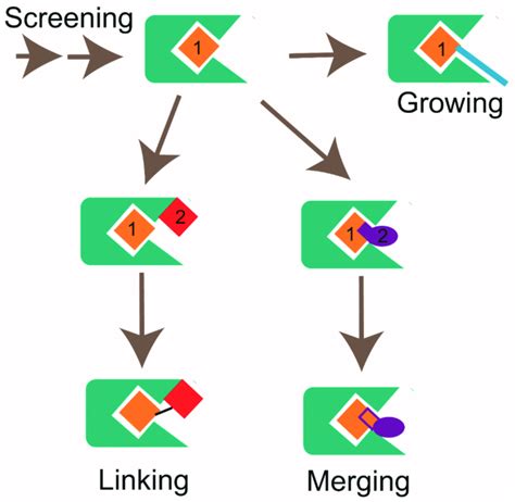 Strategies For Fragment Optimization Which Includes Growing Linking