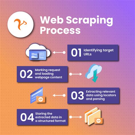What Is Web Scraping How Your Business Can Use It NetNut
