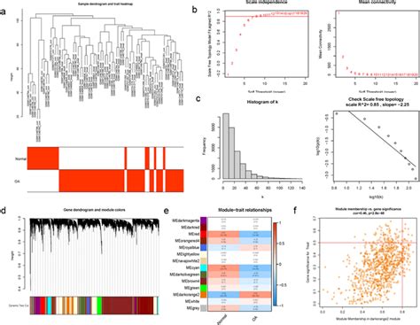 Construction Of Wgcna Modules A Clustering Dendrogram And Trait