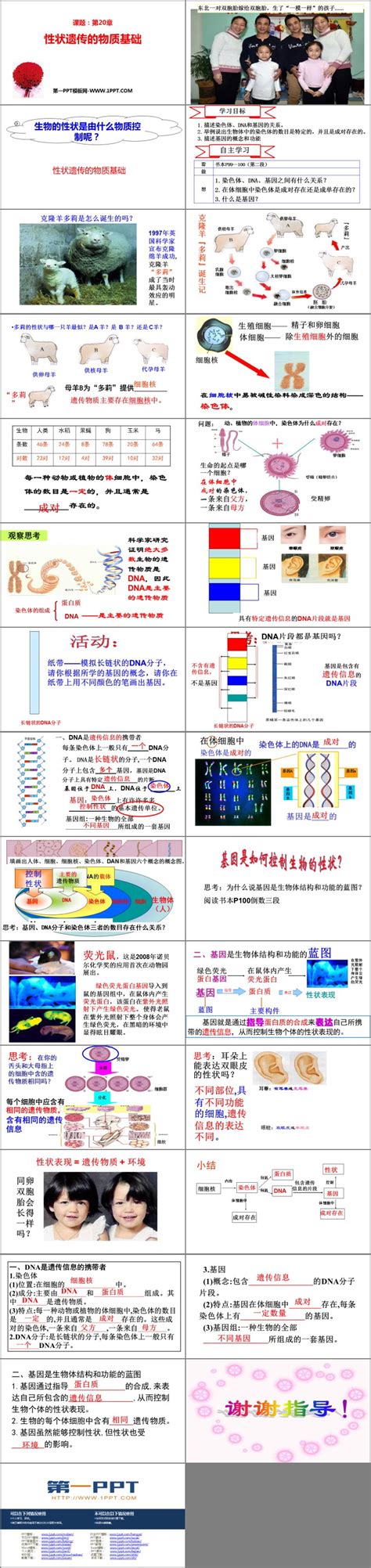 《性状遗传的物质基础》ppt课件 第一ppt