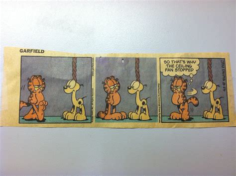 Garfield Minus Garfield Plus A Cat