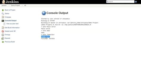 how to set environment variables in jenkins geeksforgeeks