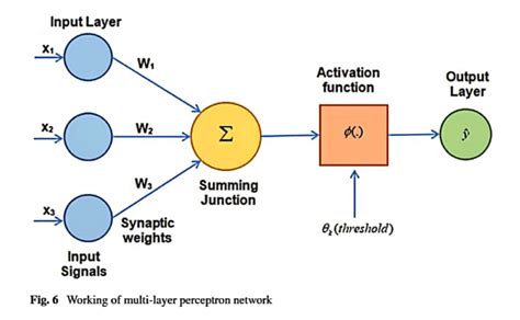 Working Of Multi Layer Perceptron Network Download Scientific Diagram