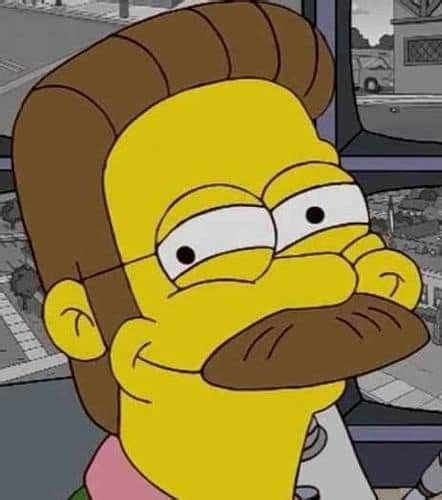 Pin By Camila Florencia On Memes Wpp Simpsons Art Ned Flanders