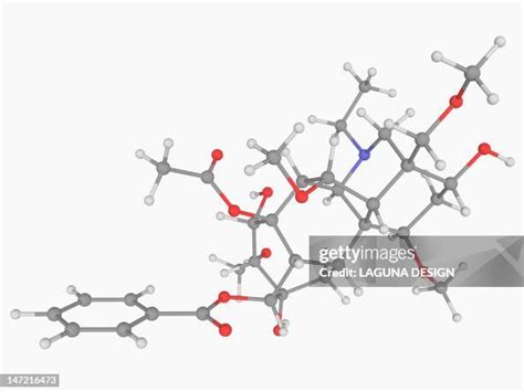 Aconitine Photos And Premium High Res Pictures Getty Images