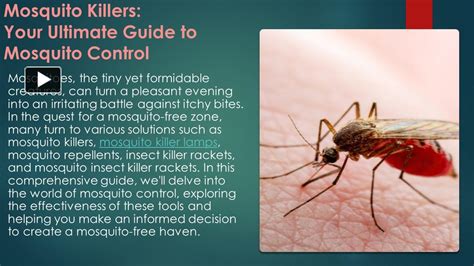 Ppt Mosquito Killers Your Ultimate Guide To Mosquito Control Powerpoint Presentation Free
