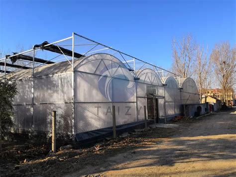 quality automated nursery equipment greenhouse application display