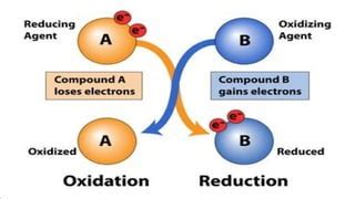 Oxidation And Reduction And Reactions Pptx