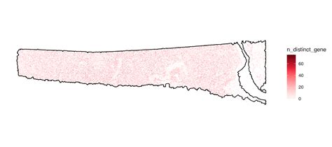 Initiation And Preprocessing Xenium • Spata2