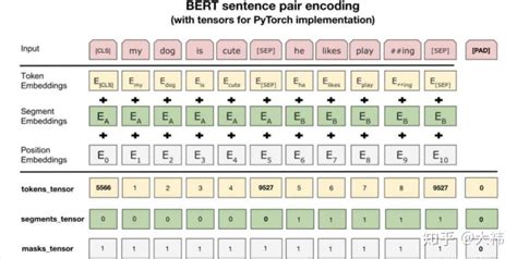 【第一期ai夏令营丨自然语言处理】使用bert模型解决问题bert提取关键词 Csdn博客