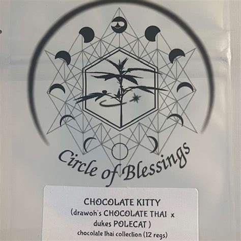 Strayfox Gardenz Chocolate Kitty 12 Reg Seeds Great Lakes Genetics