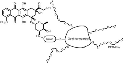 Figure 36 From Design And Synthesis Of Doxorubicin Conjugated Gold