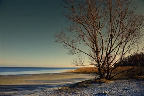 An End To The Confusion Jenkins Or Jenkins X The New Stack