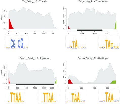 Sequencing Depth Number Of Reads Covering A Position Along Four Host Download Scientific