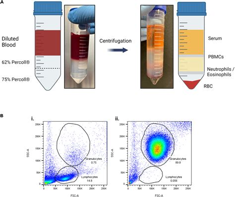 Cell Press Star Protocols
