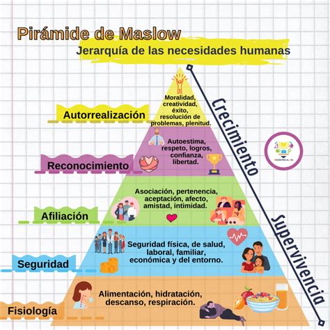 Ejemplos De Las Necesidades De Maslow La Jerarquía De Las Necesidades