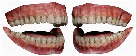 Realistic 3d Clean Straight Teeth Model Includes Blender Marmoset