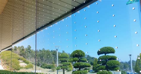 새들의 무덤 투명 유리벽 피해방지 위해 점 찍는다