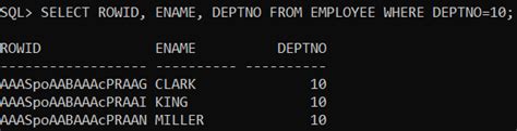 Pseudo Columns In Oracle With Examples Dot Net Tutorials