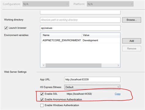 C Net Core Not Able To Automatically Redirect To