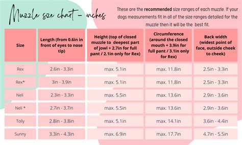 Size Chart Muzzle Movement The Muzzle Movement