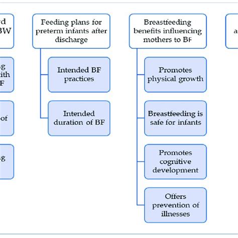 Summary Of The Themes And Supporting Sub Themes Download Scientific