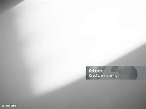 그림자 효과 배경 모형 블랙 프레임 Reslistic 그늘 회색 잎 오버레이 나뭇잎 나무 열대 여름 식물 빛 화이트 바닥 추상 햇빛 배경 최소 모형 3d Bg 벽 자연 태양