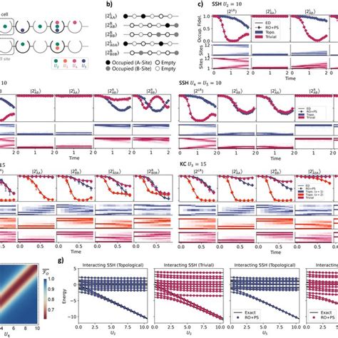 Schematics And 2 Particle Results For The Interacting Models A Download Scientific Diagram