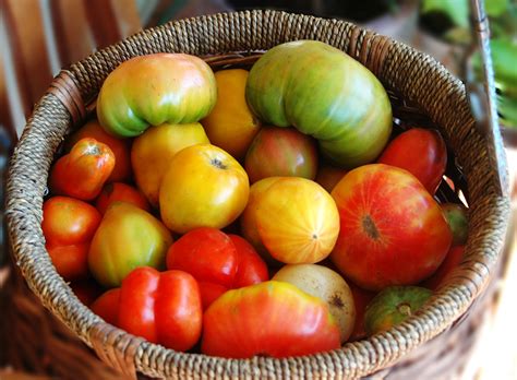 Best Tomatoes To Grow For Farmers Markets Homestead Hustle