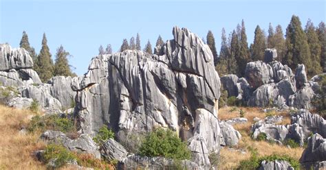 New Global Study Finds Ect Linked To Wide Range Of Harms Psychology