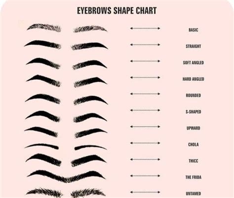 Eyebrow Shape Chart Sopracciglia Ciglia Trucco