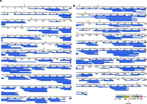 Figure Supplement 2 Primary Sequence Coverage Map Of Pepsin