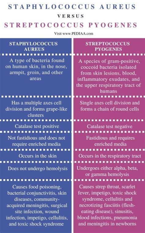 Best 12 What Is The Difference Between Staphylococcus Aureus And Streptococcus Pyogenes Artofit